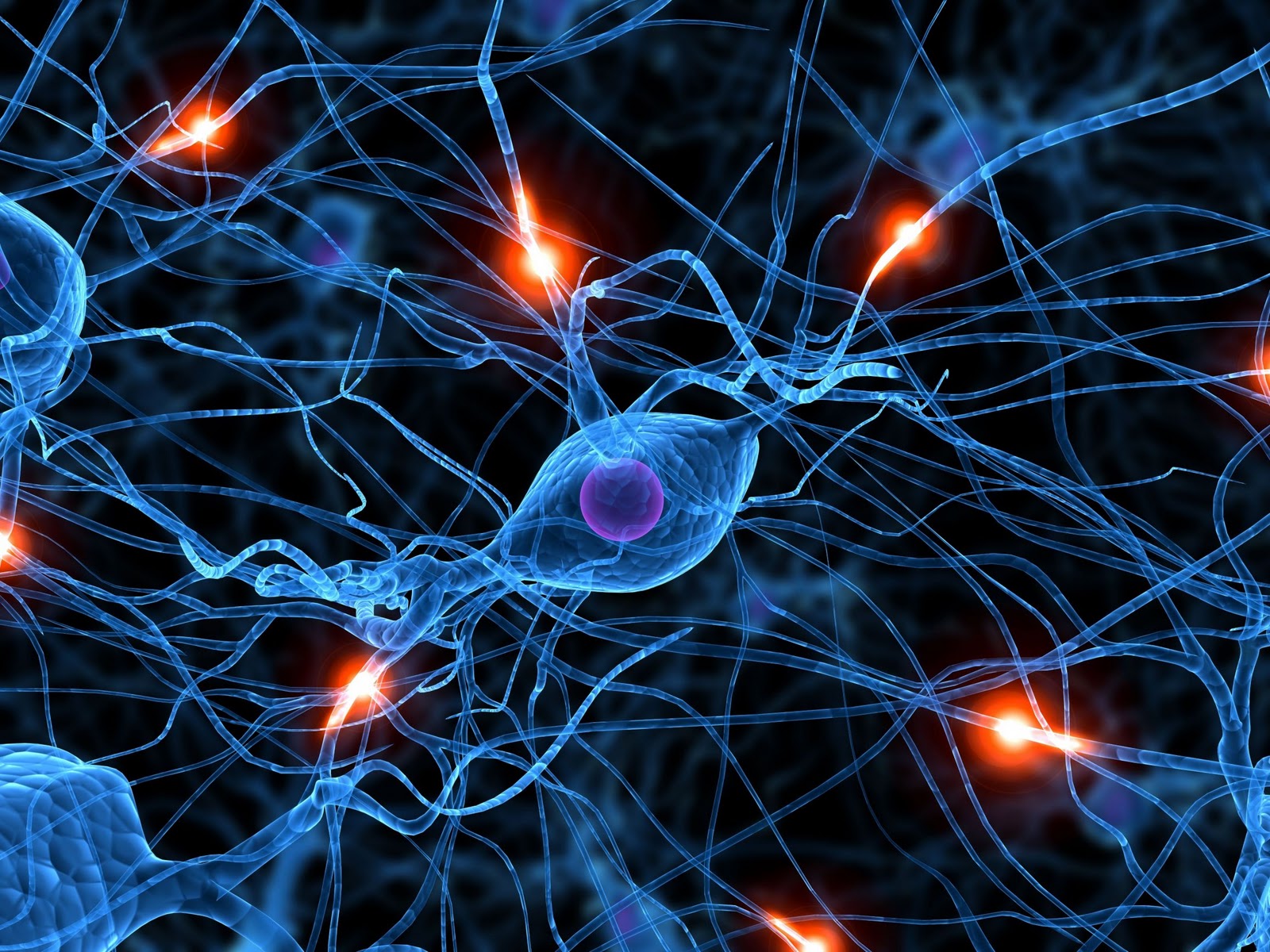 The Neurobiology of Personal Transformation - Anoushka Beh